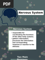 Nervous System Diagram | PDF