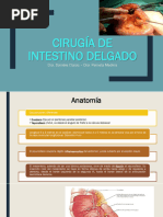 Técnicas de Cecostomía y Colostomía | PDF | Intestino grueso | Abdomen