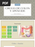 Sigmoidectomía Laparoscópica: Técnica y Equipo | PDF | Intestino grueso ...