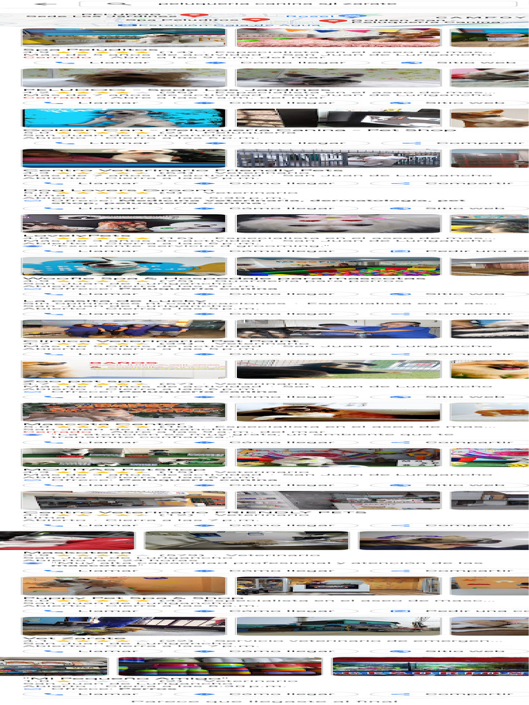 Peluqueria Canina SJL Zarate | PDF