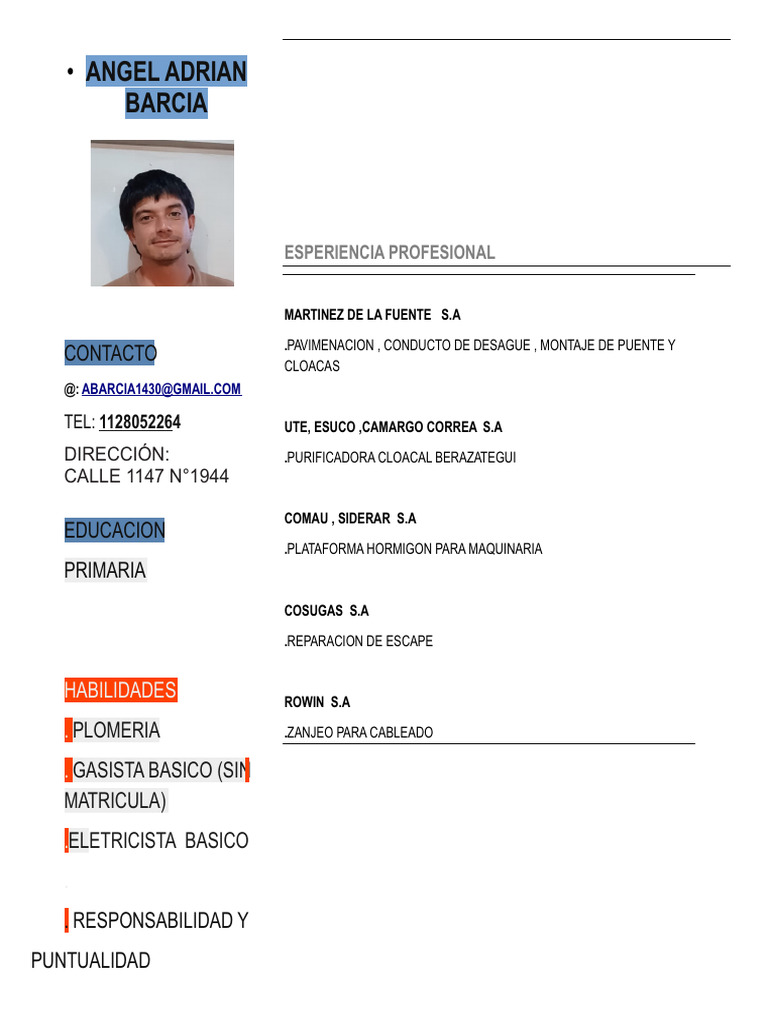 Angel Curriculum | PDF