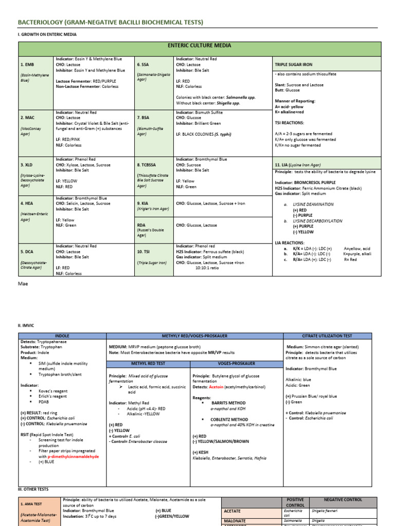 Gram Neg Biochemical Test Final | PDF