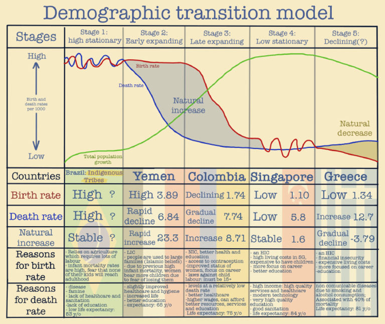 DTM Infographic | PDF