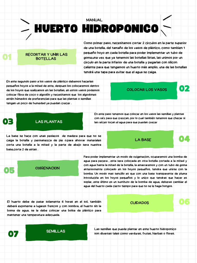 Documento A4 Pasos Cliente Doodle Sencillo Colorido (1) | PDF | Botánica