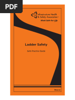 Werner Ladder Color Codes Explained | PDF