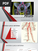 Arteria Iliaca Comun Externa Interna y Sus Ramas Correspondientes | PDF ...