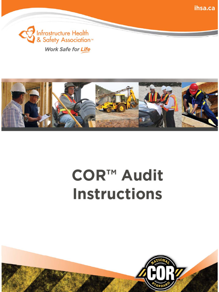 Instructions For Completing The Cor Audit | PDF | Audit | Occupational ...
