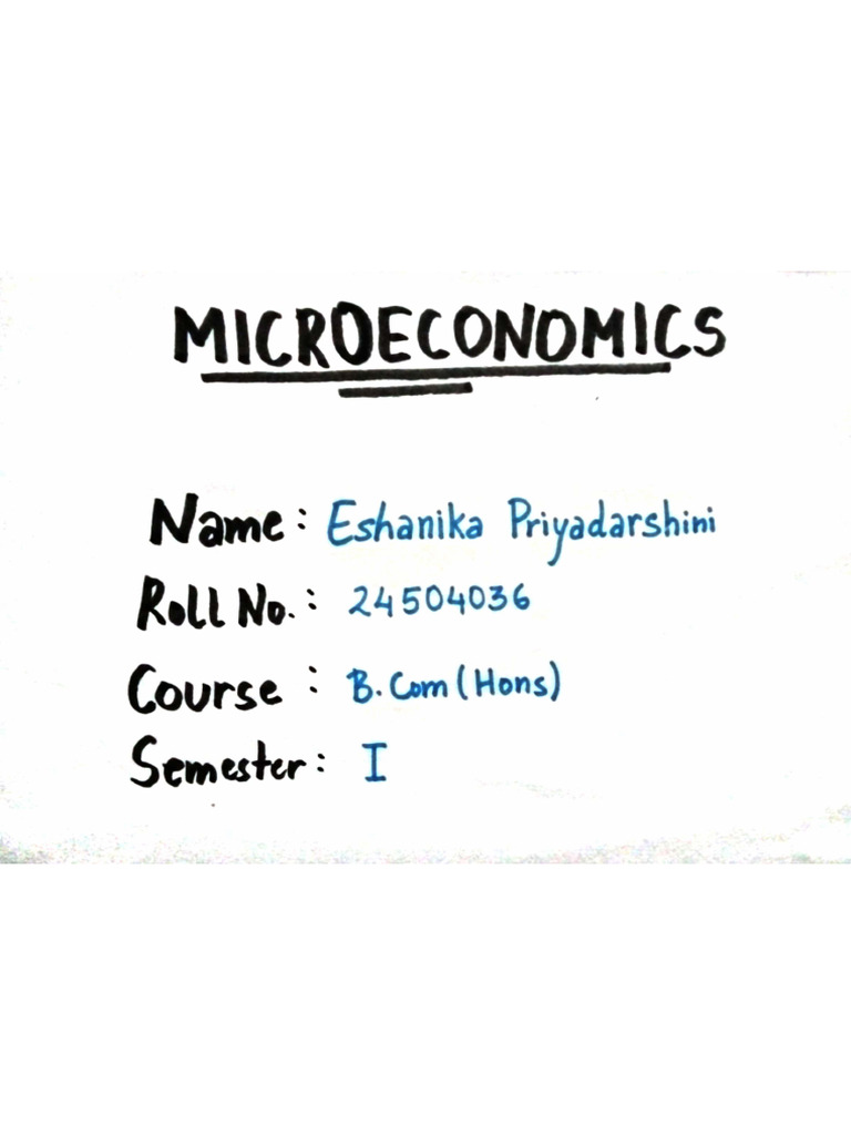 Micro Assignment | PDF