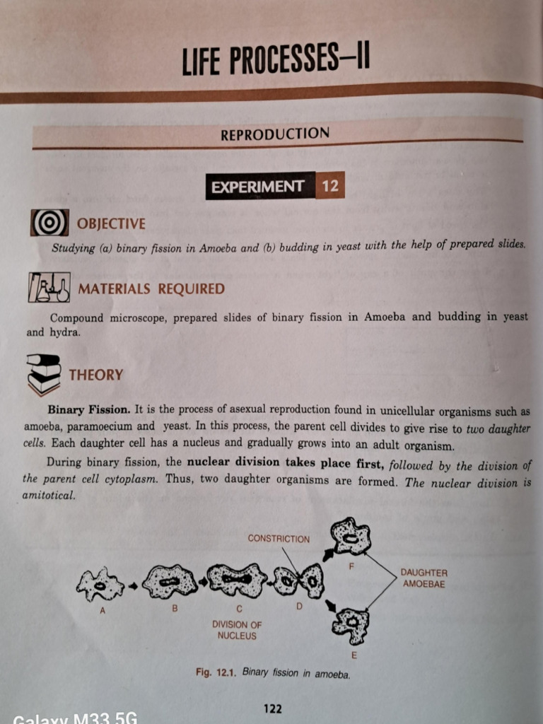 Biology Practical XTH | PDF