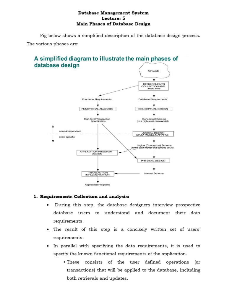 Database Phases | PDF