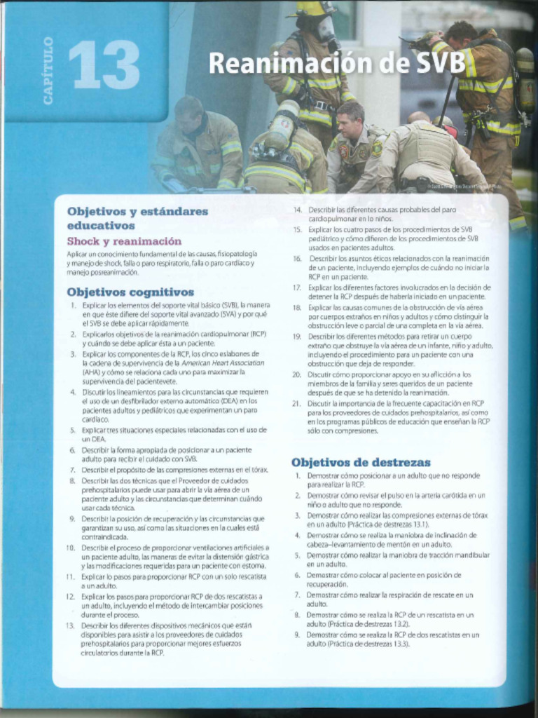 Capitulo 13 Reanimacion de SVB Libro APB | PDF