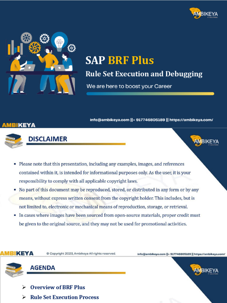 SAP BRF PLUS - Rules Set Execution and Debugging | PDF | Software Development | Computer Engineering