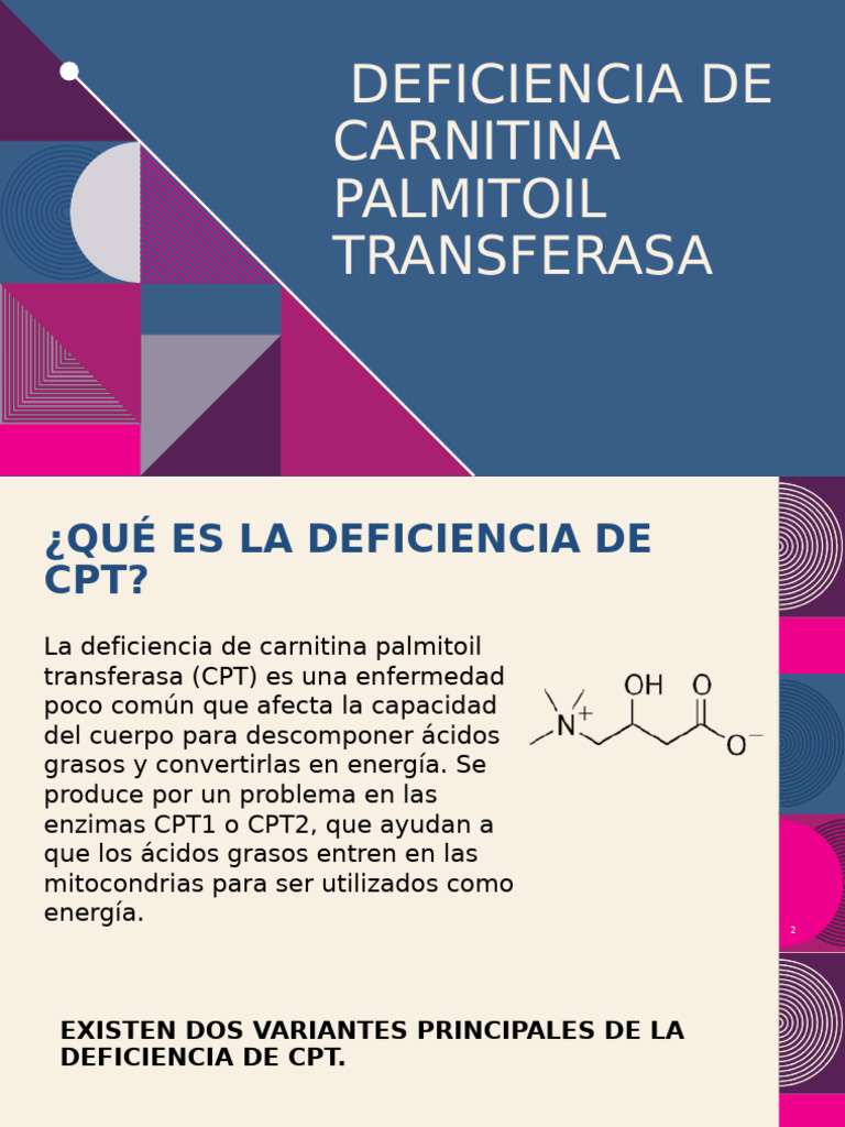 Deficiencia de carnitina palmitoil transferasa | PDF | Mitocondria ...