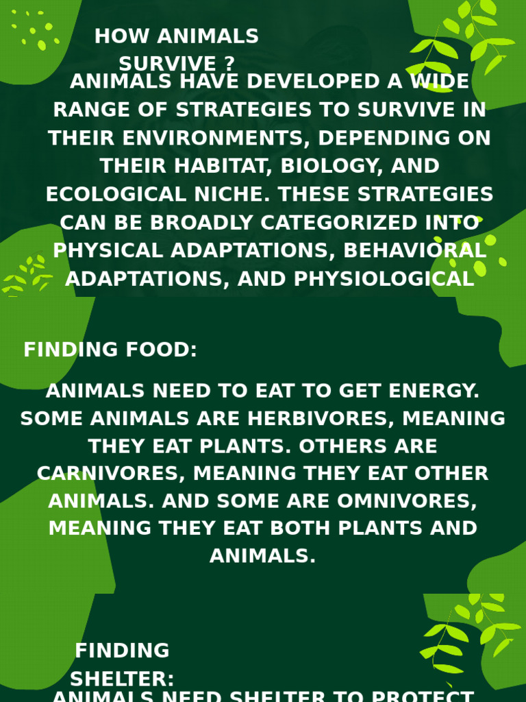 Animal Survival Strategies Explained | PDF