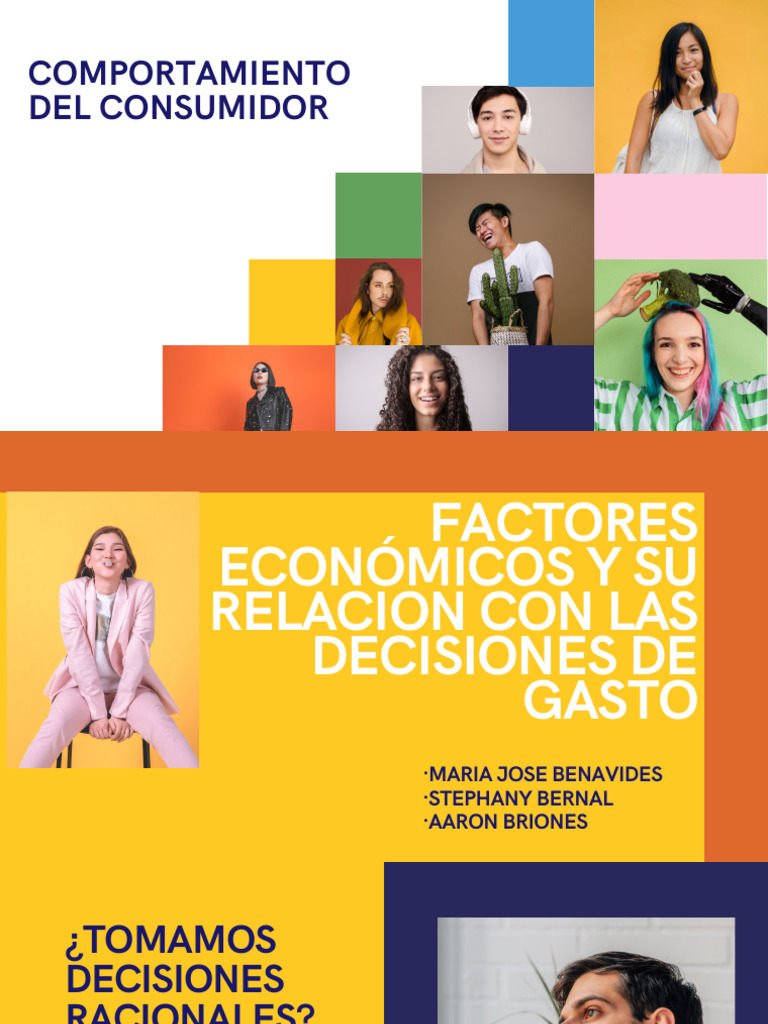 Comportamiento Del Consumidor | PDF