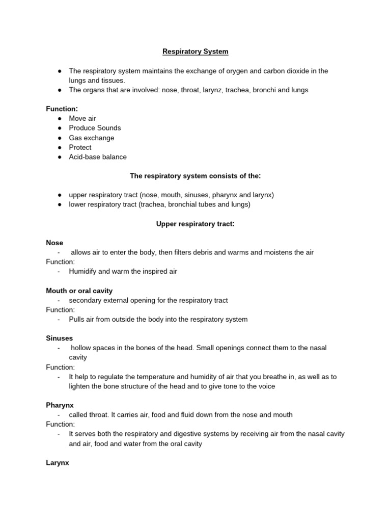 Anaphy Respiratory System | PDF | Respiratory Tract | Lung