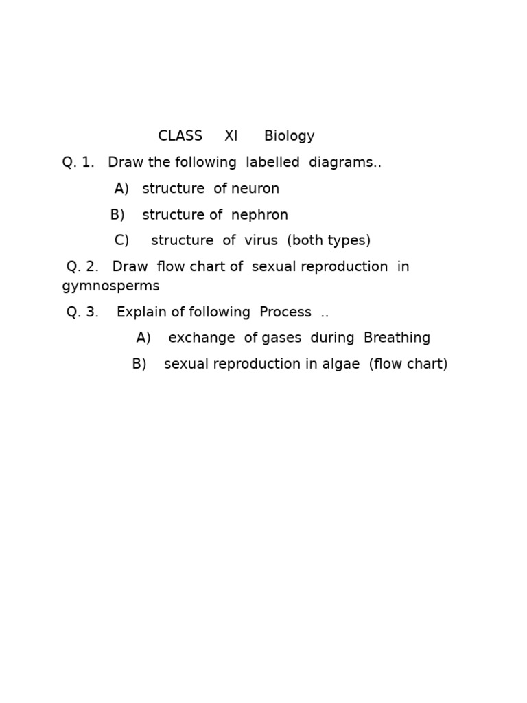 Xi Bio. | PDF