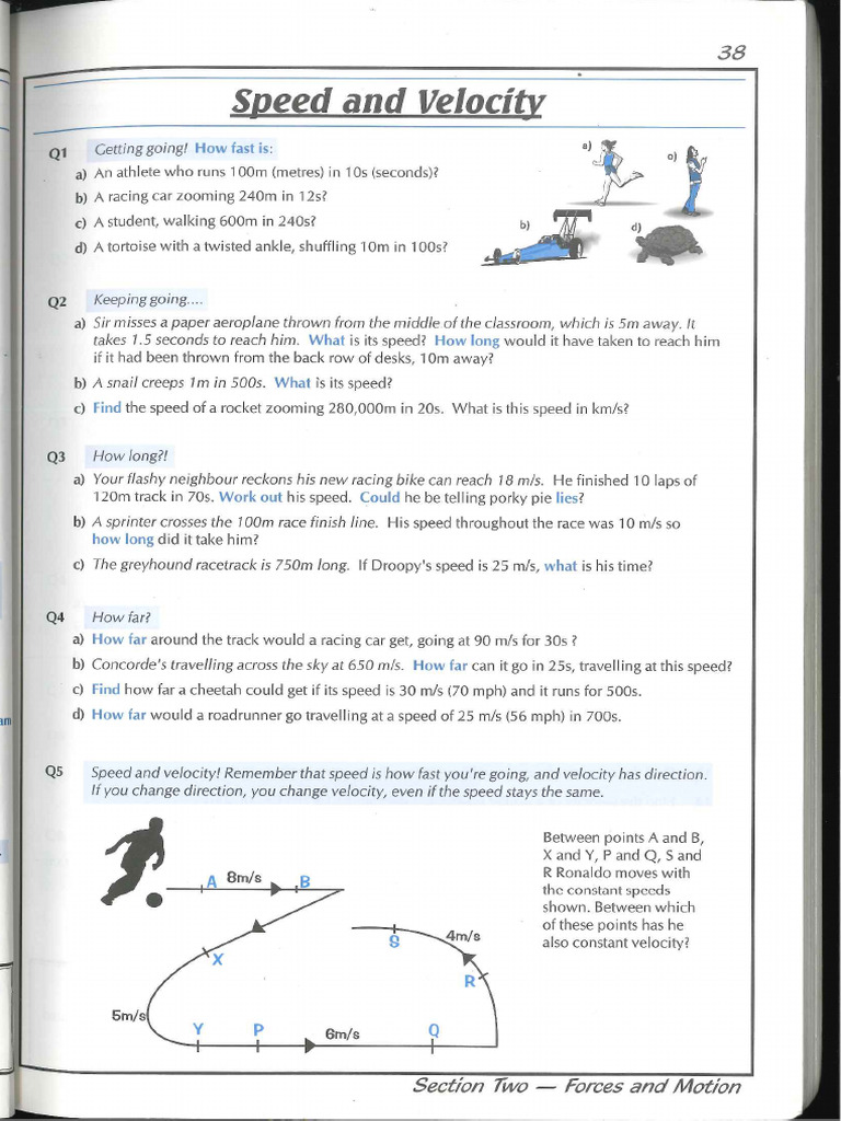 MYP Oxford Models | PDF