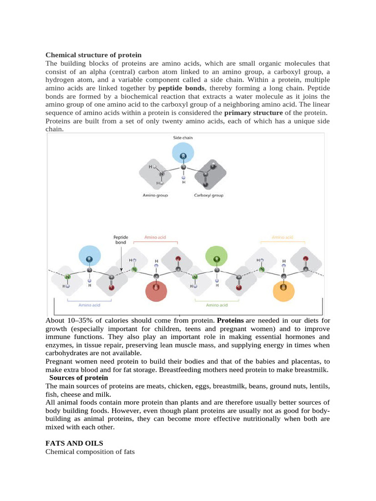 Protein and Fat Chemical Structures | PDF | Triglyceride | Fatty Acid