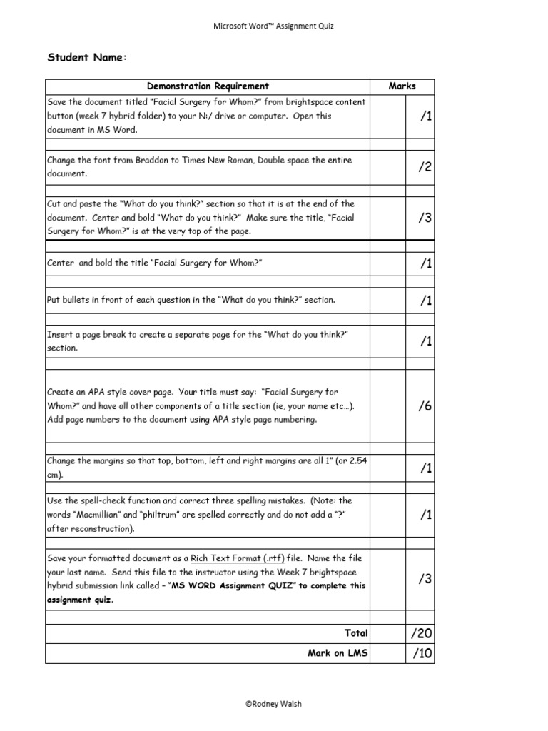 Microsoft Word Assignment Instructions | PDF