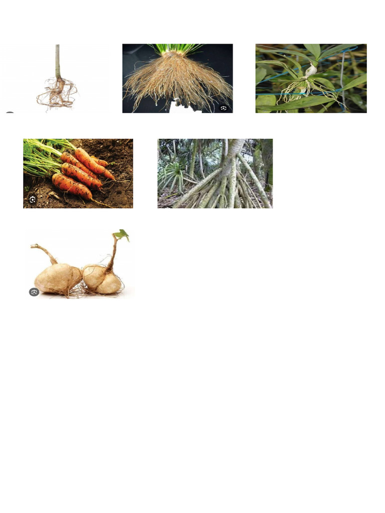 Gambar SPT Pratikum 1 Salinan | PDF