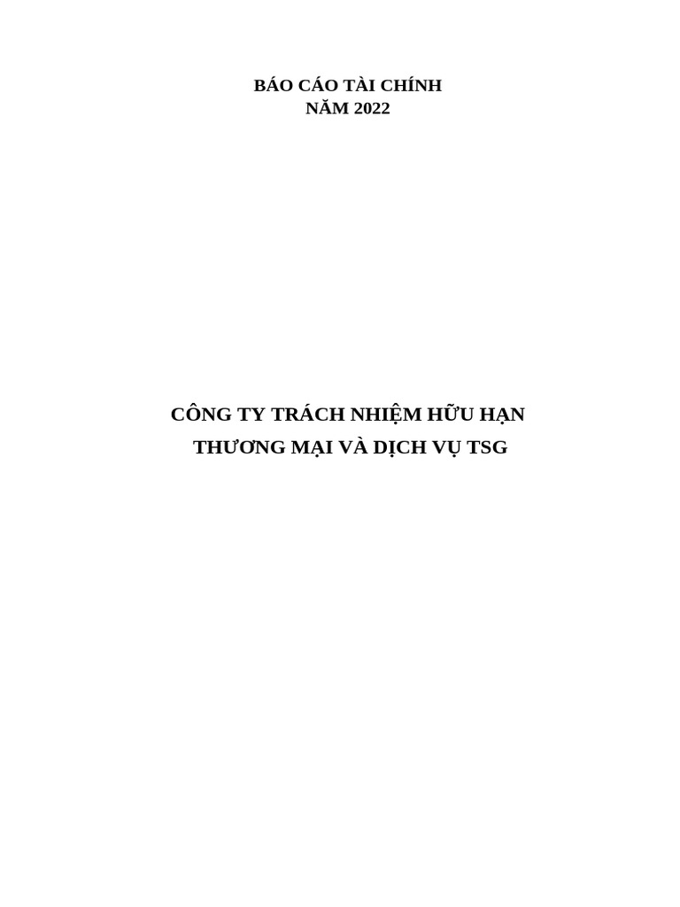 BCTC Năm 2022 Của TSG | PDF