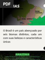 Capa Trabalho Ciencias Bioma Brasileiro | PDF