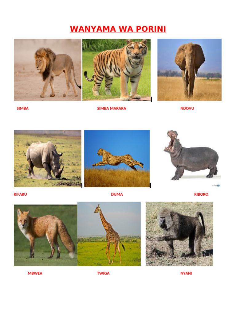 Wanyama Wa Porini Pdf