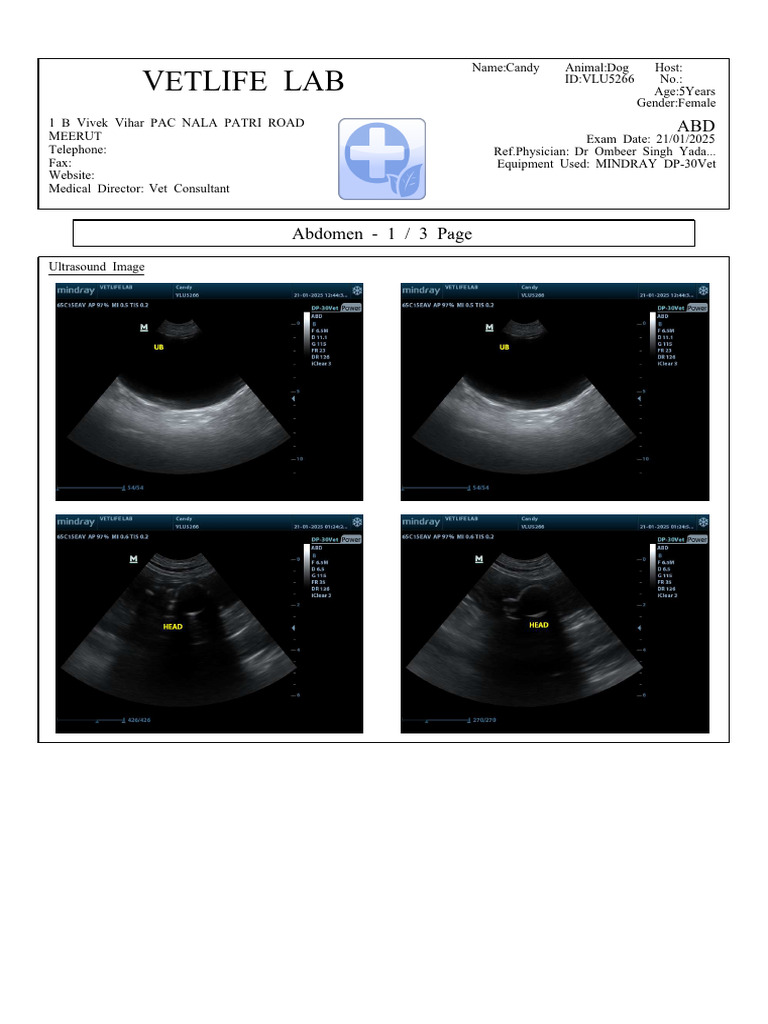 Candy USG View | PDF