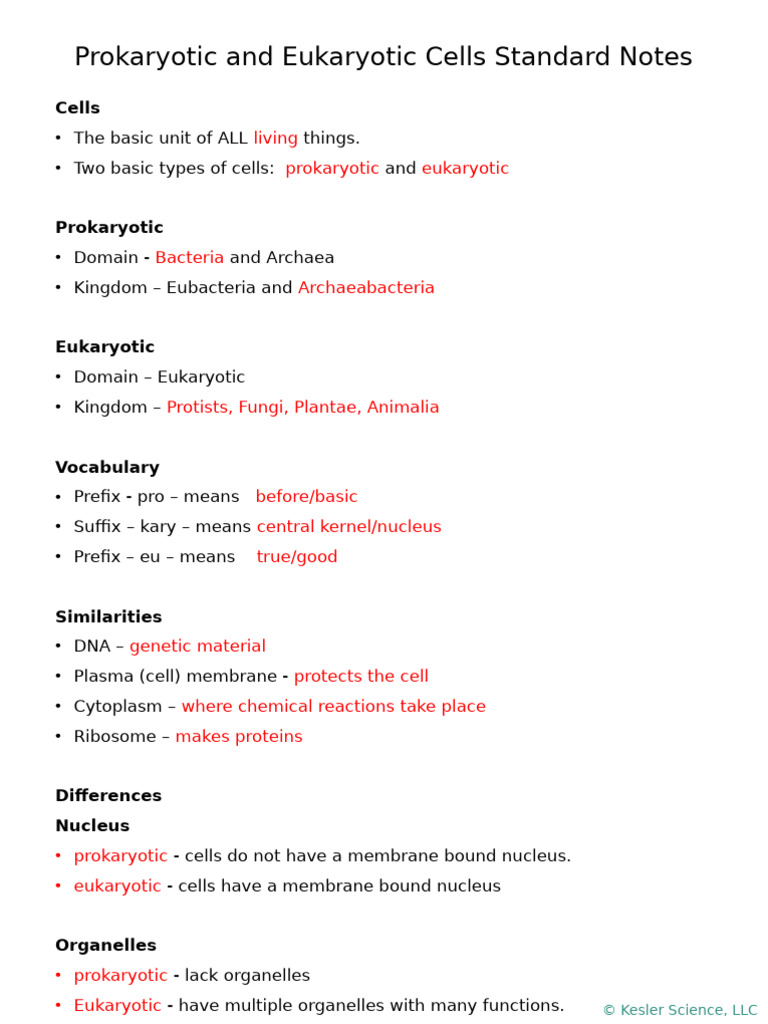 3 Explanation - Prokaryotic and Eukaryotic Cells Presentation ...