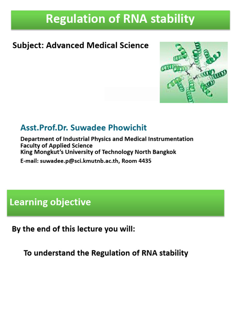 Regulation of RNA Stability - 4 | PDF | Messenger Rna | Rna Splicing