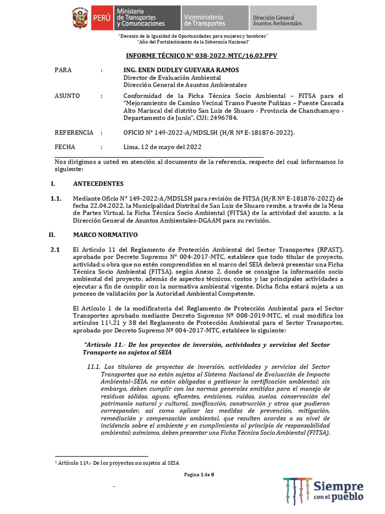 Fitsa - Puente Puñizas - Inf - Tec | PDF | Evaluación de impacto ambiental | Entorno natural