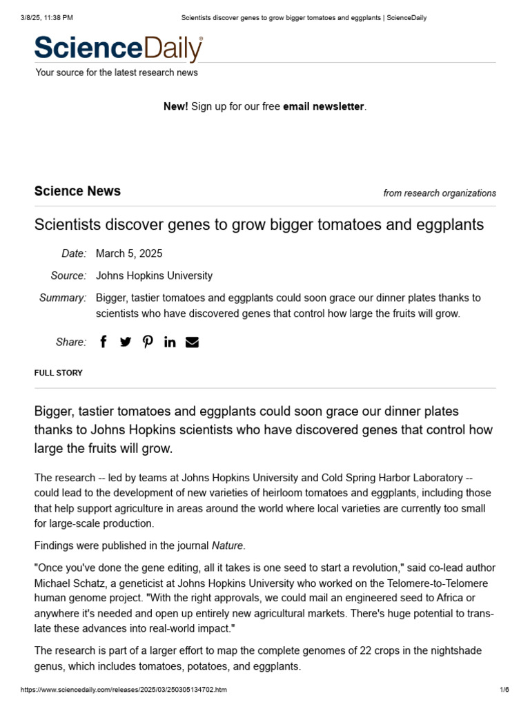 Genes for Larger Tomatoes Discovered | PDF | Tomato | Gene