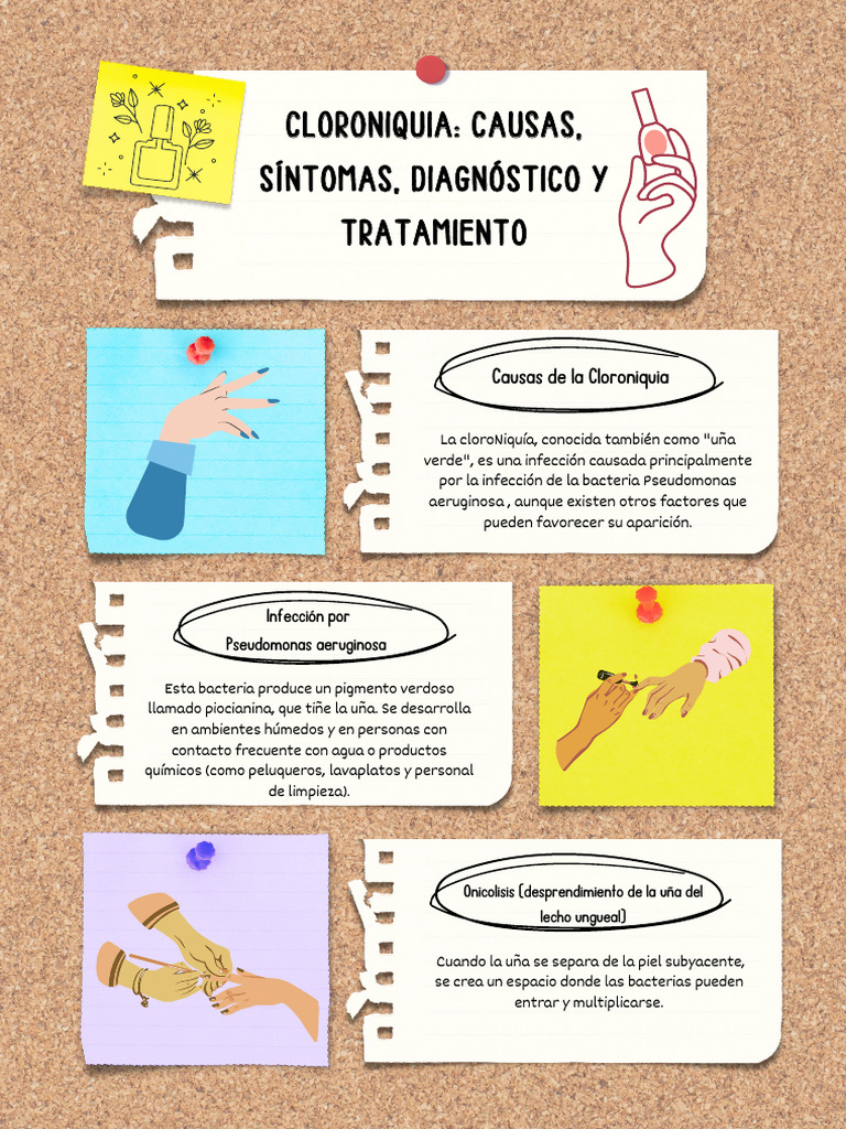 Expo Cision | PDF | Clavo (anatomía) | Pseudomonas