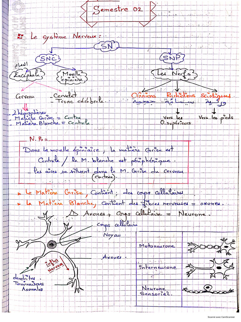 Révision-SVT-3AC (S2) | PDF