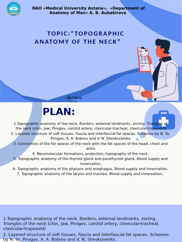 Topographic Anatomy of the Neck | PDF | Neck | Common Carotid Artery