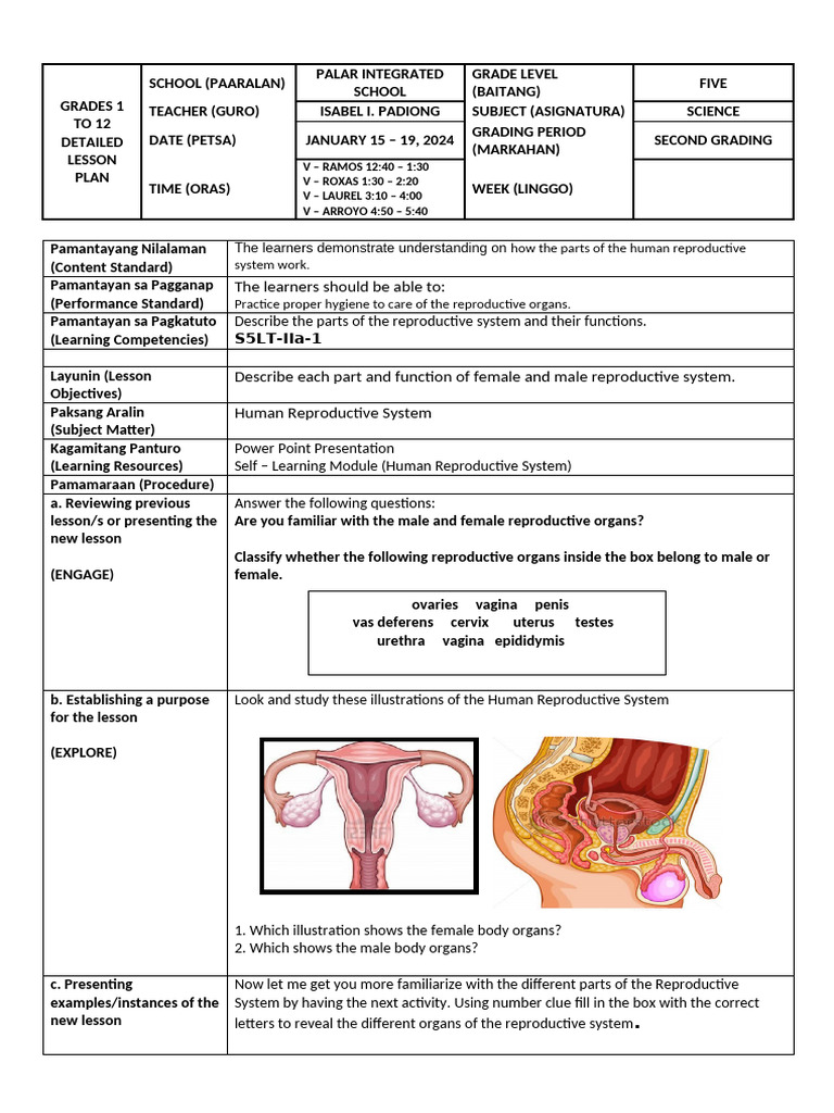 Grade 5 Science Lesson Plan: Human Reproductive System | PDF ...