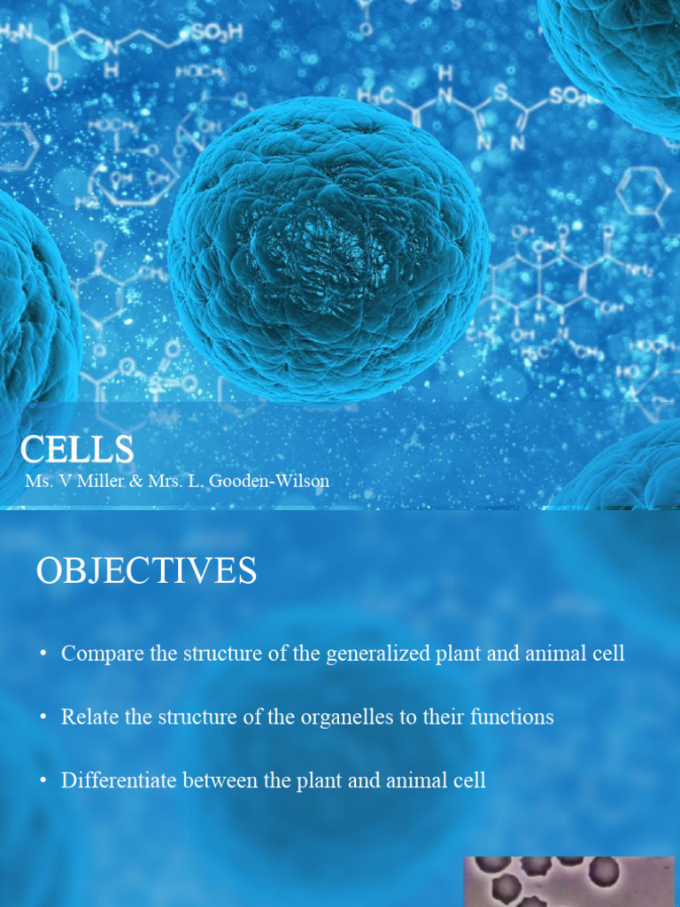 Cells and Microbes New | PDF | Cell (Biology) | Cytoplasm