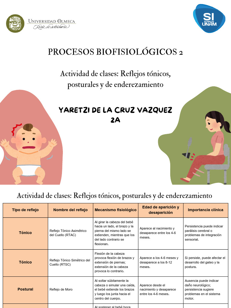 Reflejos Tonicos, Postulares y de Enderezamiento | PDF | Neurociencia ...