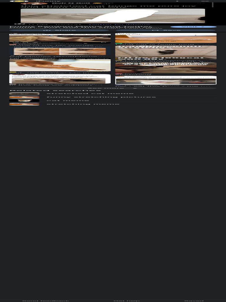 Stretched Resolution Cat Meme - Google Search | PDF