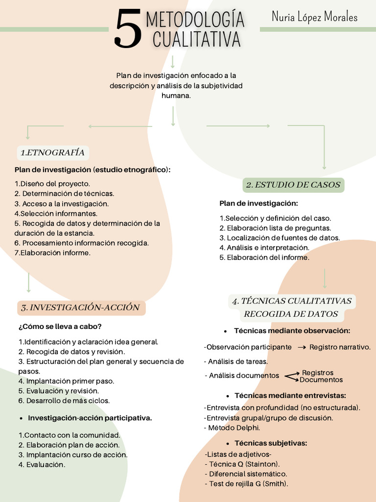 Esquema 5. Metodologia Cualitativa | PDF | Etnografía | Caso de estudio