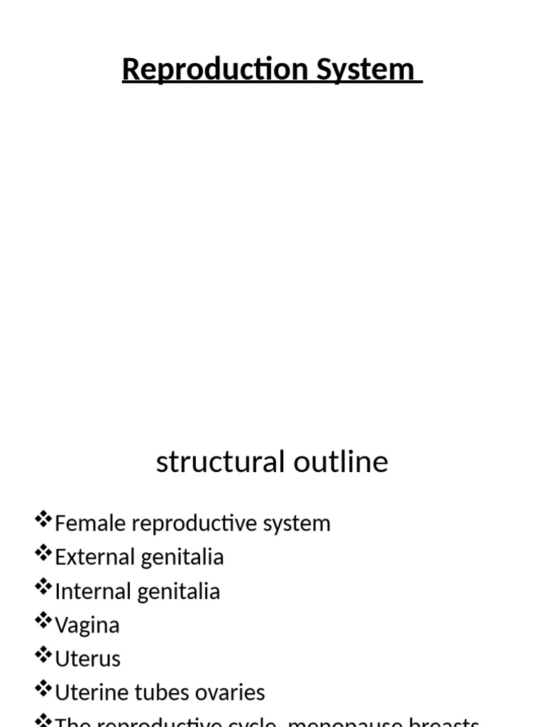 Overview of Human Reproductive Anatomy | PDF | Uterus | Vagina
