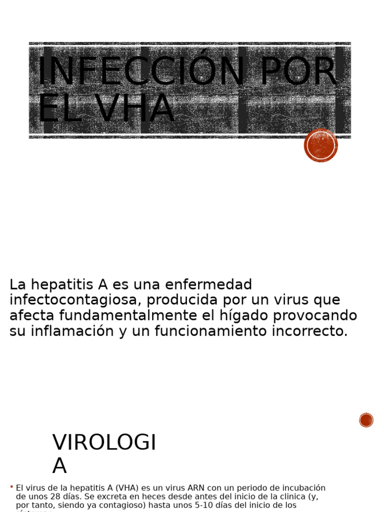 Presentación VHA Corregida | PDF