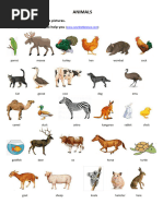 Animals Chart | PDF