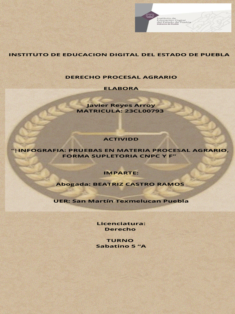 Infografia Pruebas Procesal Agrario | PDF