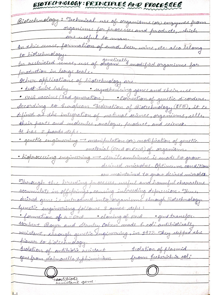 Handwritten Notes of Biotechnology Principles and Process | PDF