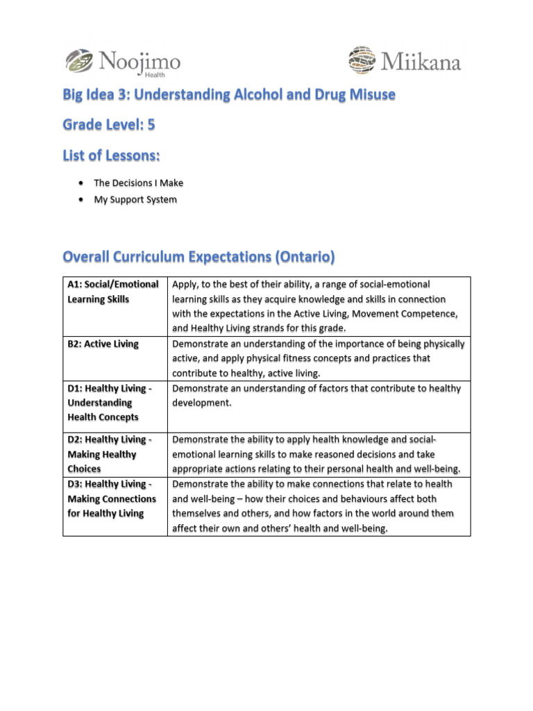 Alcohol and Drug Misuse for Grade 5 | PDF | Learning | Holism