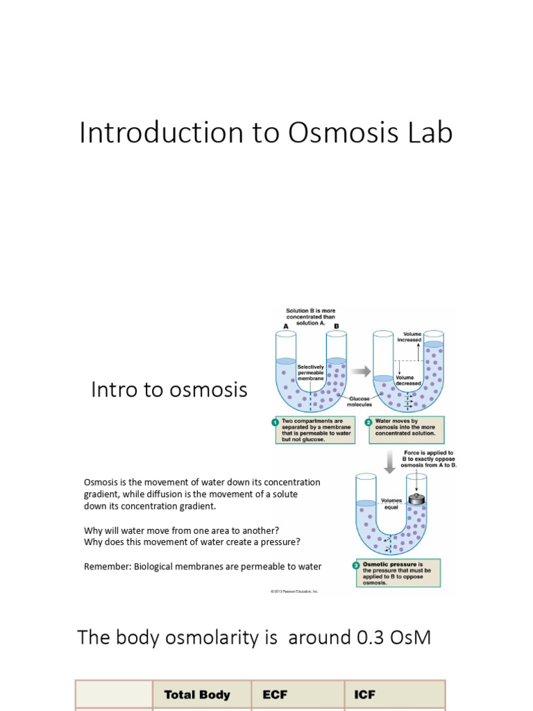 RBC Osmosis Lab Primer | PDF | Red Blood Cell | Cell Membrane