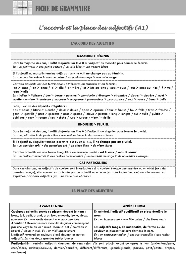 Accord Et Place Des Adjectifs - 250109 - 213859 | PDF