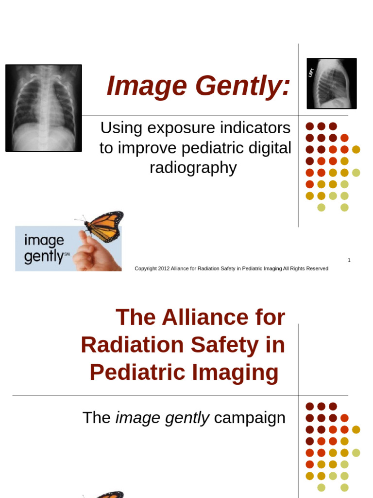 IG BTB Exposure Indicator Powerpoint | PDF | Radiography | Medical Imaging